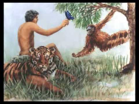 Le Seretawe- ÇÎROKÎ 01YEK