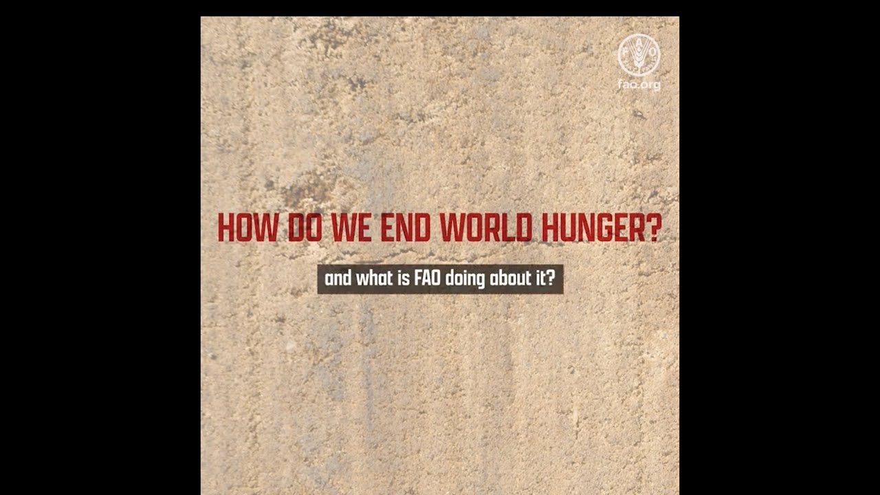 Stop World Hunger Quotes