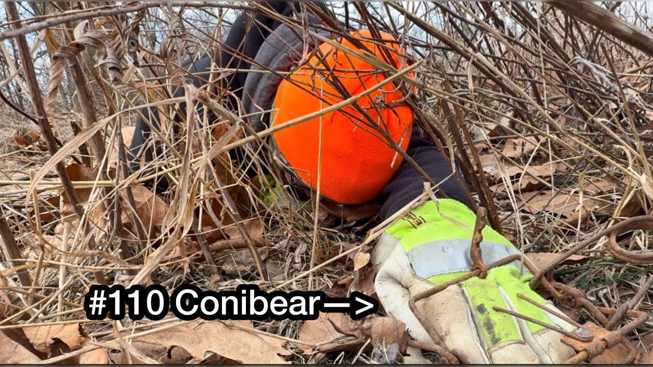 How to Set a 110 Conibear Trap in Cold Weather - YouTube