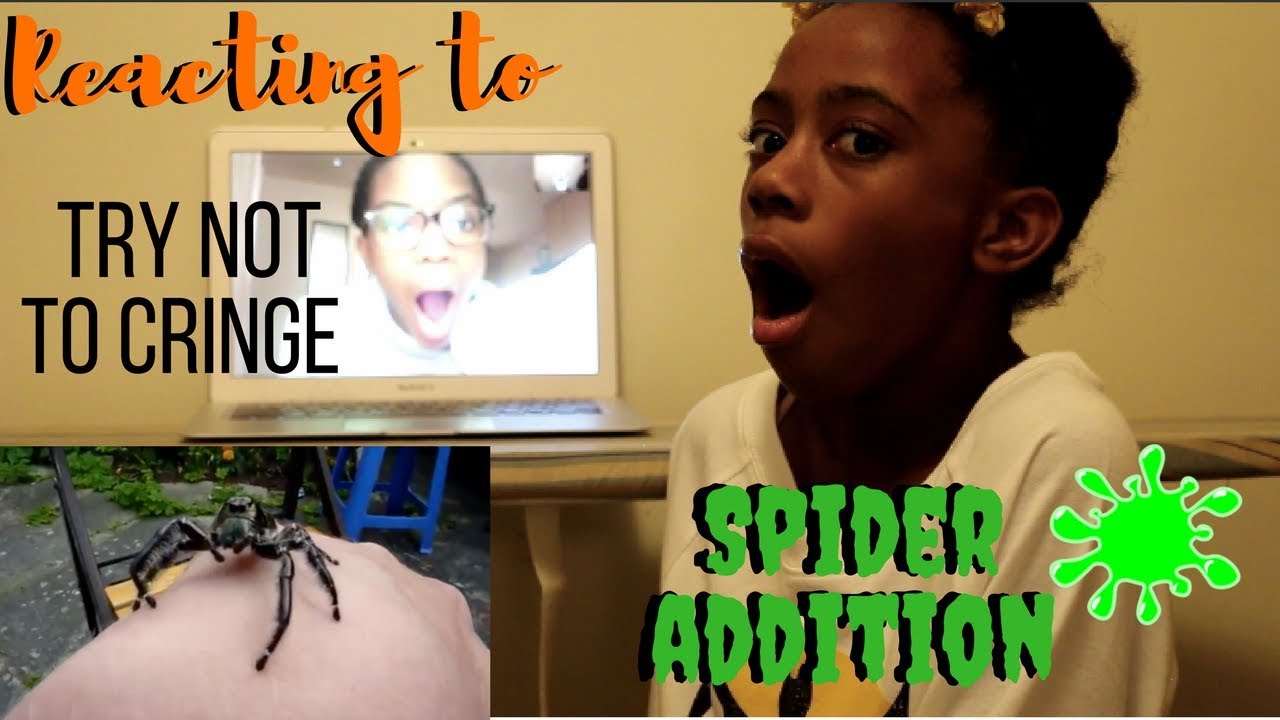 Reacting To Try Not To Cringe Spiders!!!! || GeekyChic&Unique|| - YouTube