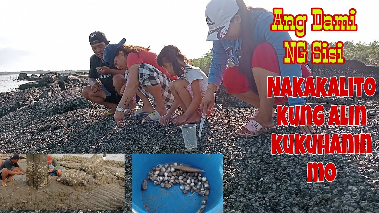 Sobrang dami NG Sisi at shell nakakalito kung saan Ang kukunin mo ...