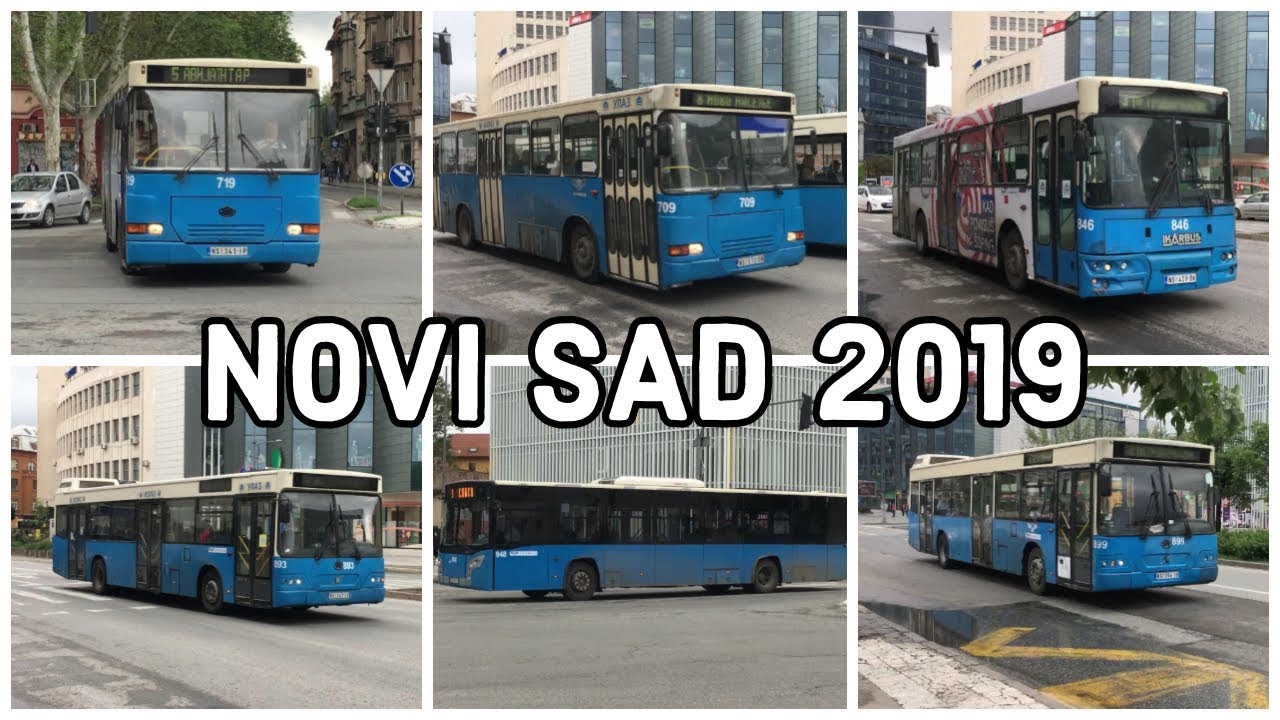 Novi Sad Buses | Autobusi u Novom Sadu | Compilation - YouTube