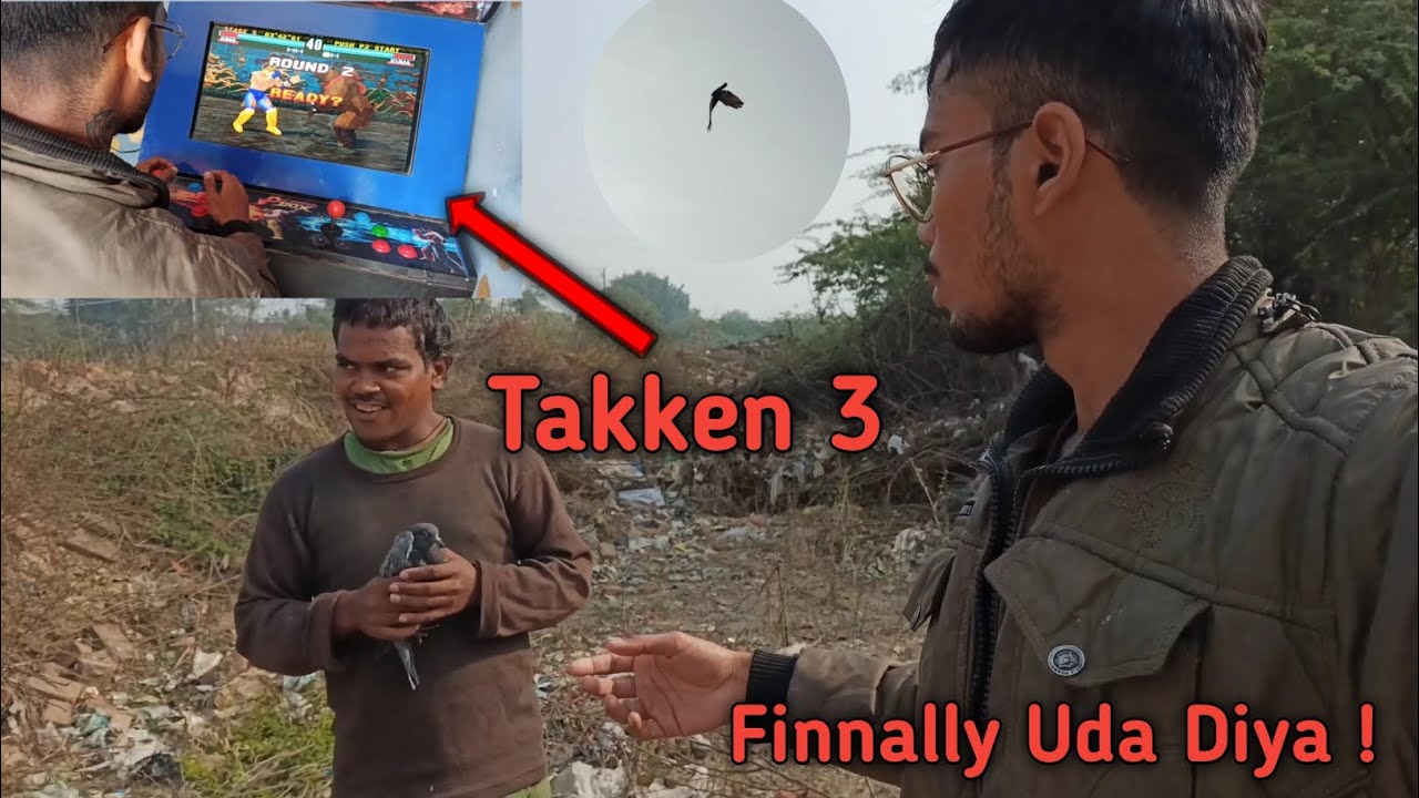 Kabutar Ko Udane Ki Koshish ! | Bryan Swain Vlogs - YouTube