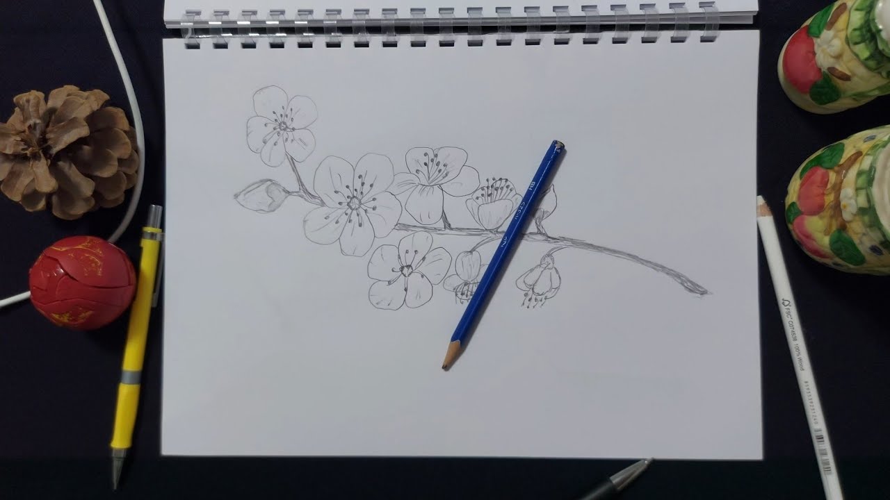 How to draw a cherry tree blooming - YouTube