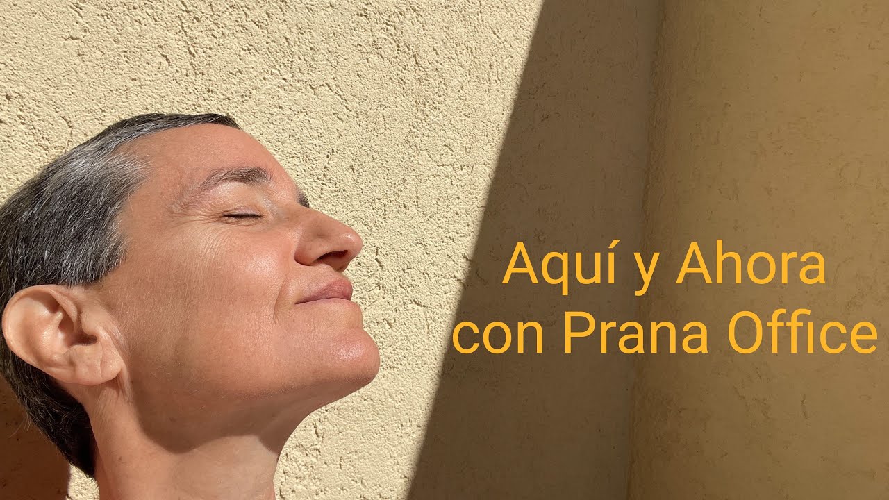 ♥️Día Internacional del Yoga: meditación guiada para conectar con el ...
