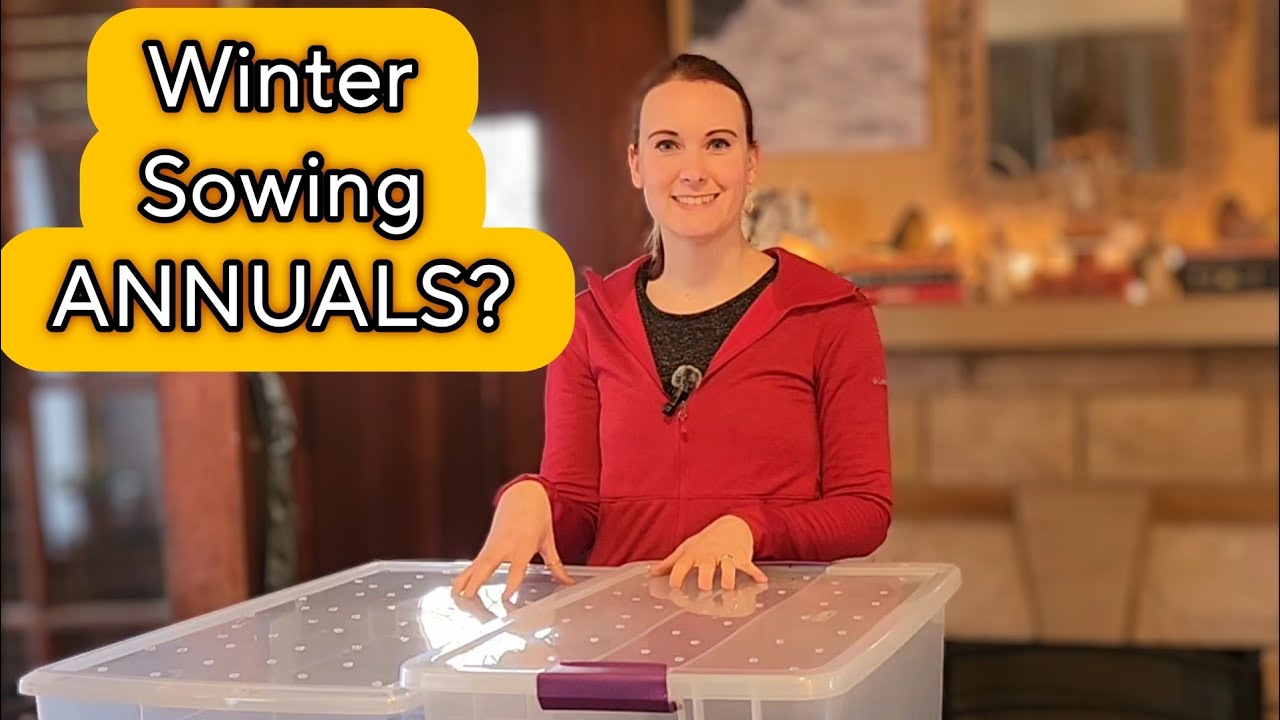 Seed Start Annuals with the Winter Sowing Method - YouTube