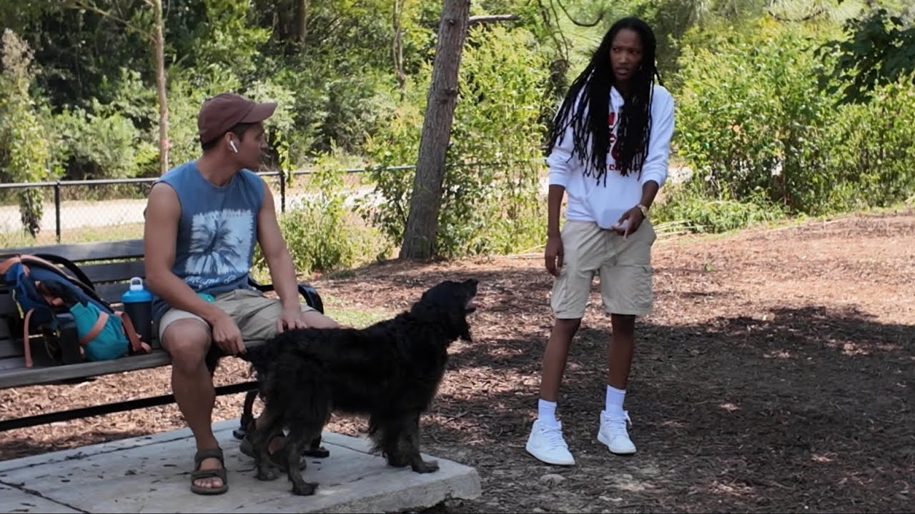 Invisible dog prank 😂 - YouTube