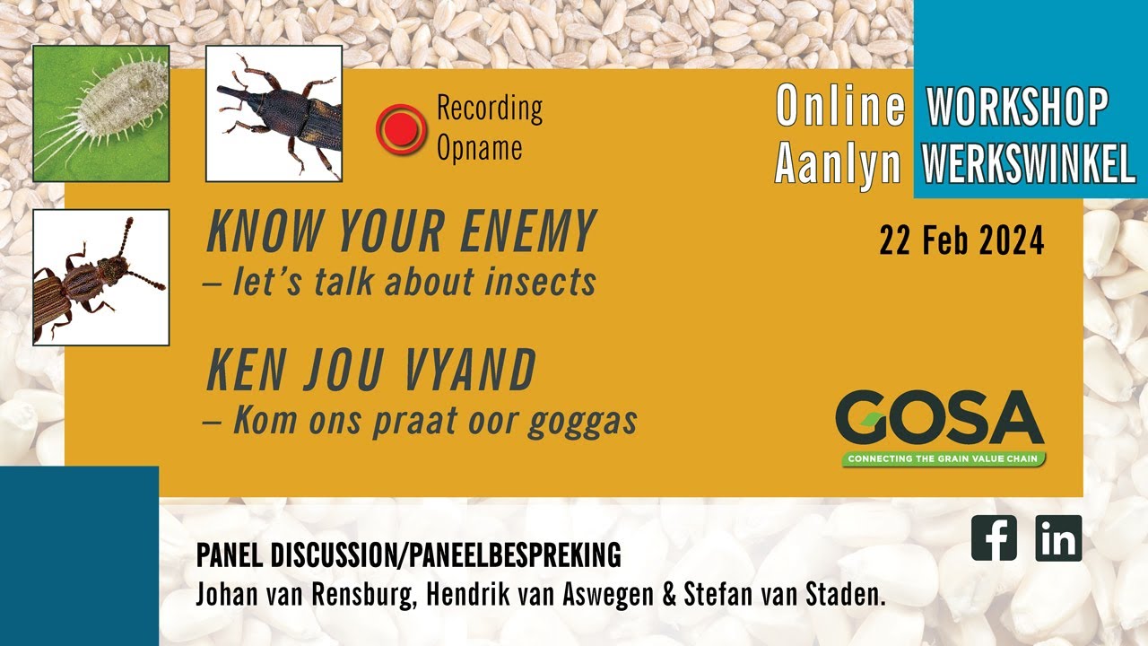 GOSA Workshop 22 Feb 2024 - YouTube