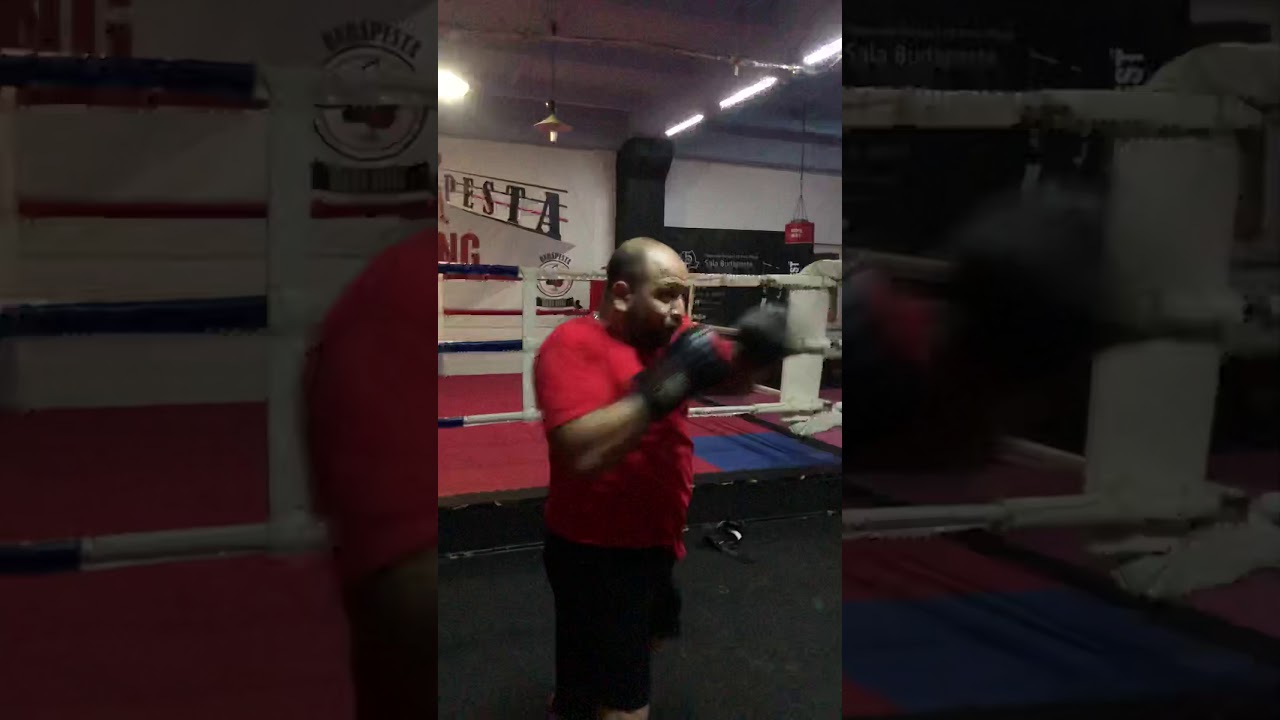 Sala box București ! Budapesta Boxing Gym - YouTube