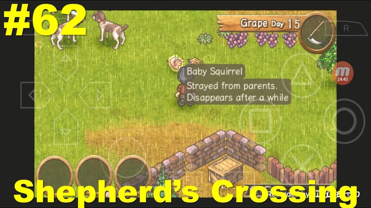 Shepherd's Crossing PSP Gameplay #62 Yak Cows are hard to raise - YouTube