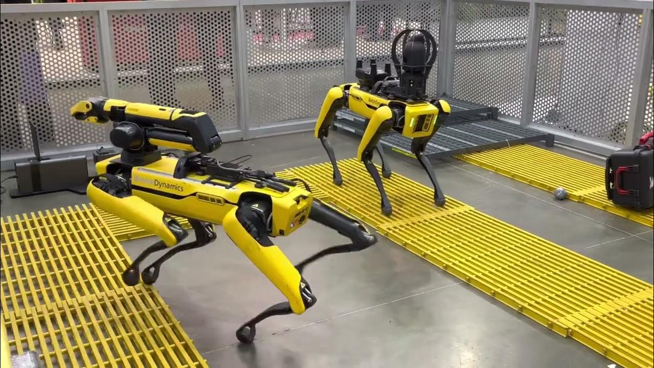 Robots from Boston Dynamics - YouTube