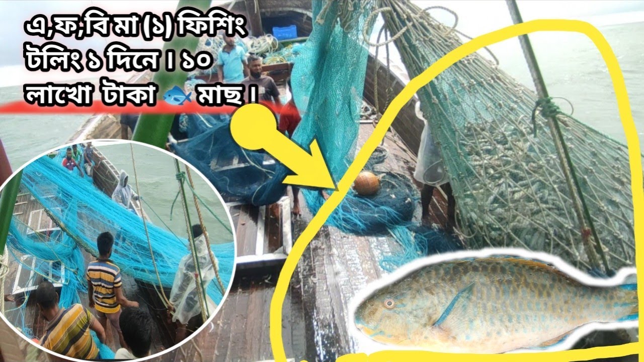 Catch sea Hilisha in Deep sea || fishing video - YouTube