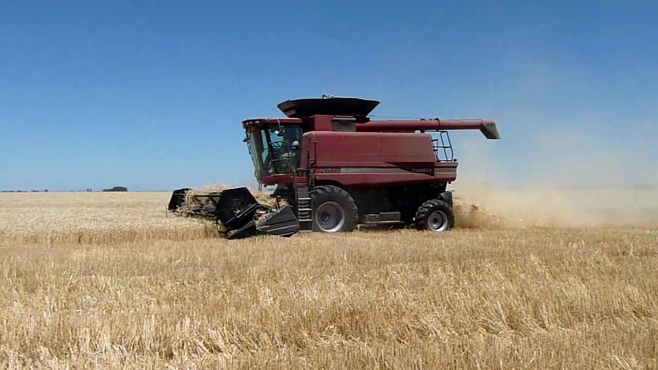 CASE 2688 (Argentina) - YouTube