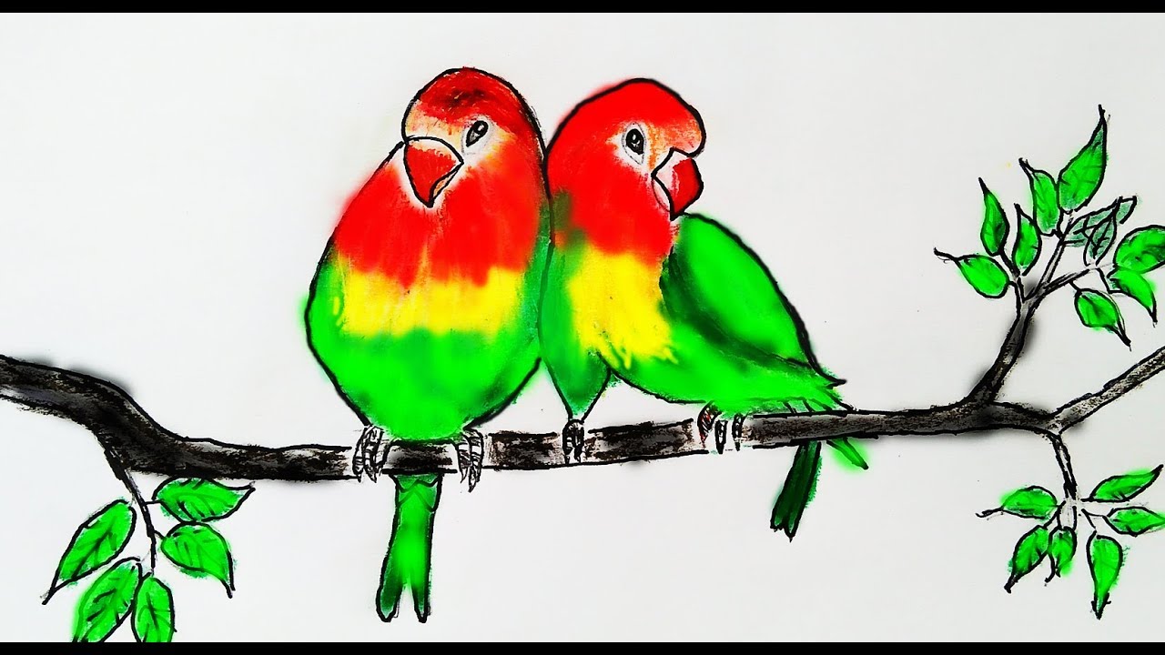 How to draw two parrots on a branch of tree easy draw step by step ...