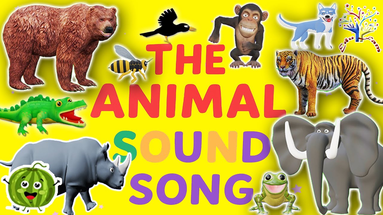 The Animal Sounds Song Z3AE1 || Come See The Animal At The Zoo! Edufam ...