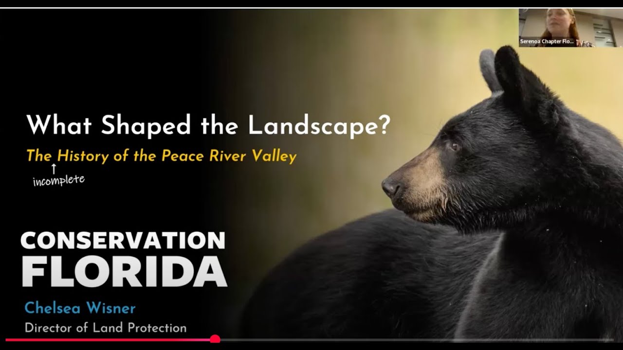 Chelsea Wisner - History of Phosphate Mining in the Peace River Valley ...