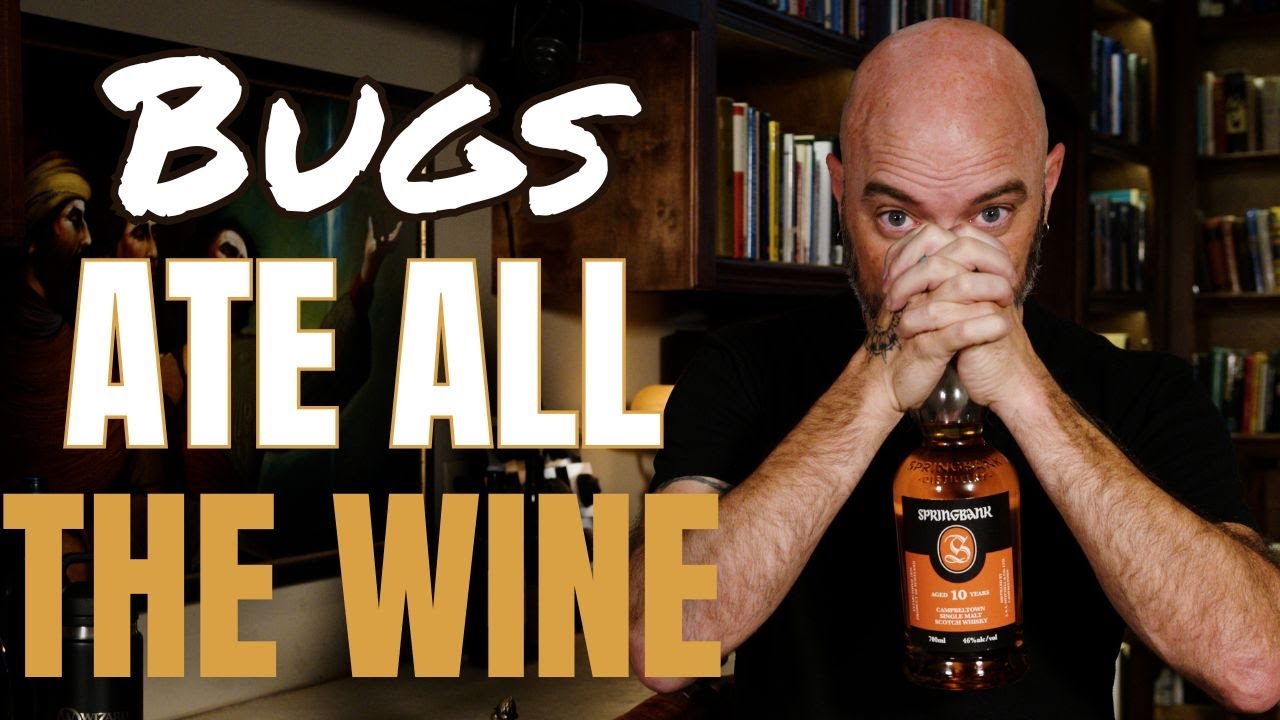 Bugs Ate All the Wine - Springbank 10 Year Old - YouTube