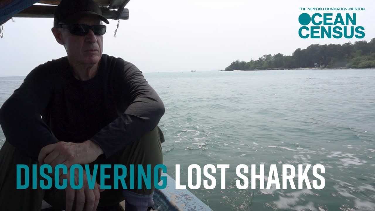 Discovering the Ocean’s Lost Sharks, with Dr Dave Ebert - YouTube