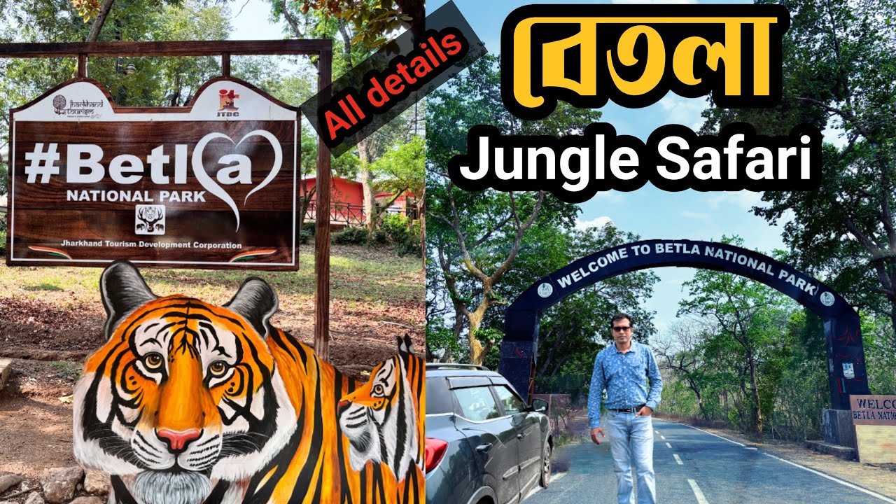 Betla National Park | Palamau Tiger reserve forest | Betla Jungle ...
