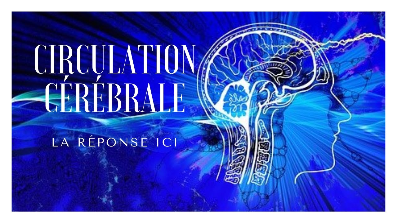 Troubles De La Circulation Cérébrale Youtube