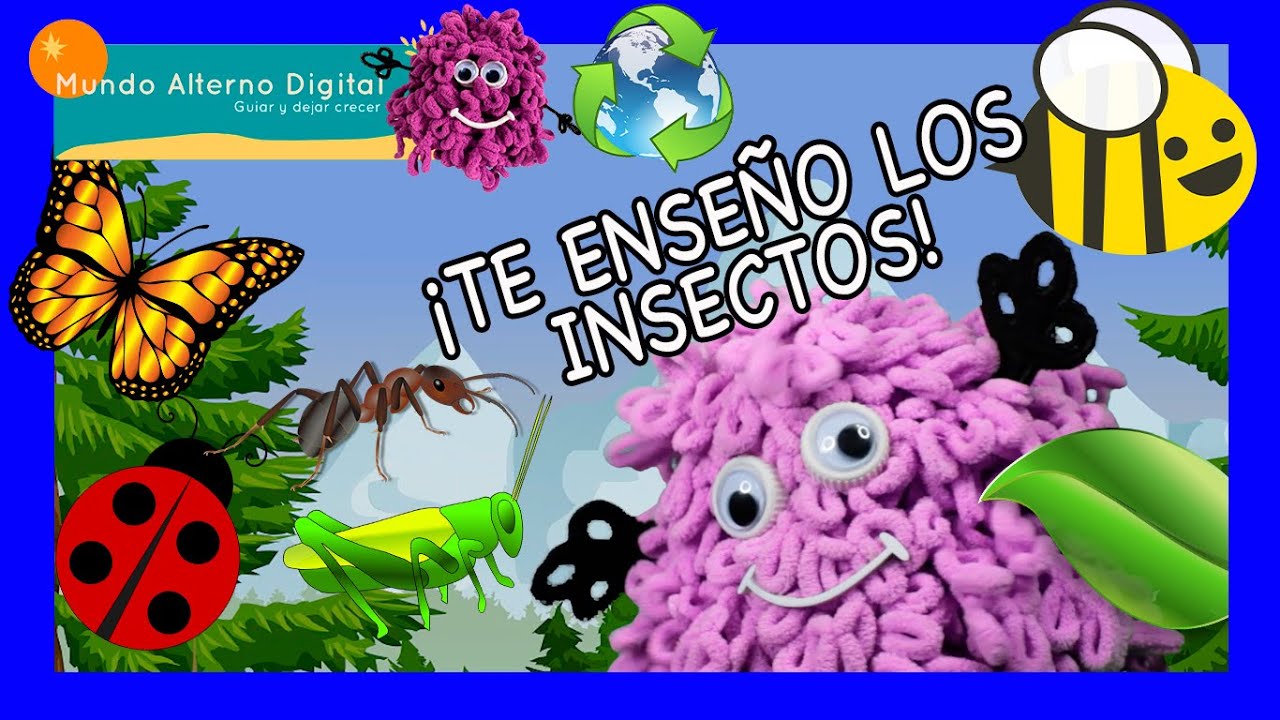 Te Explico los Insectos - Aprende Sobre Ellos - YouTube