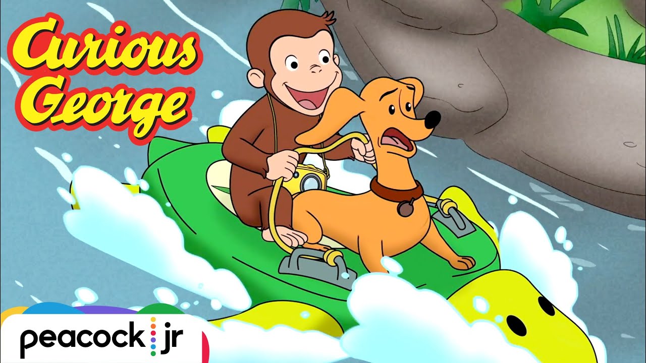 Explore Turtle Island with George 🐢🌺 | CURIOUS GEORGE - YouTube
