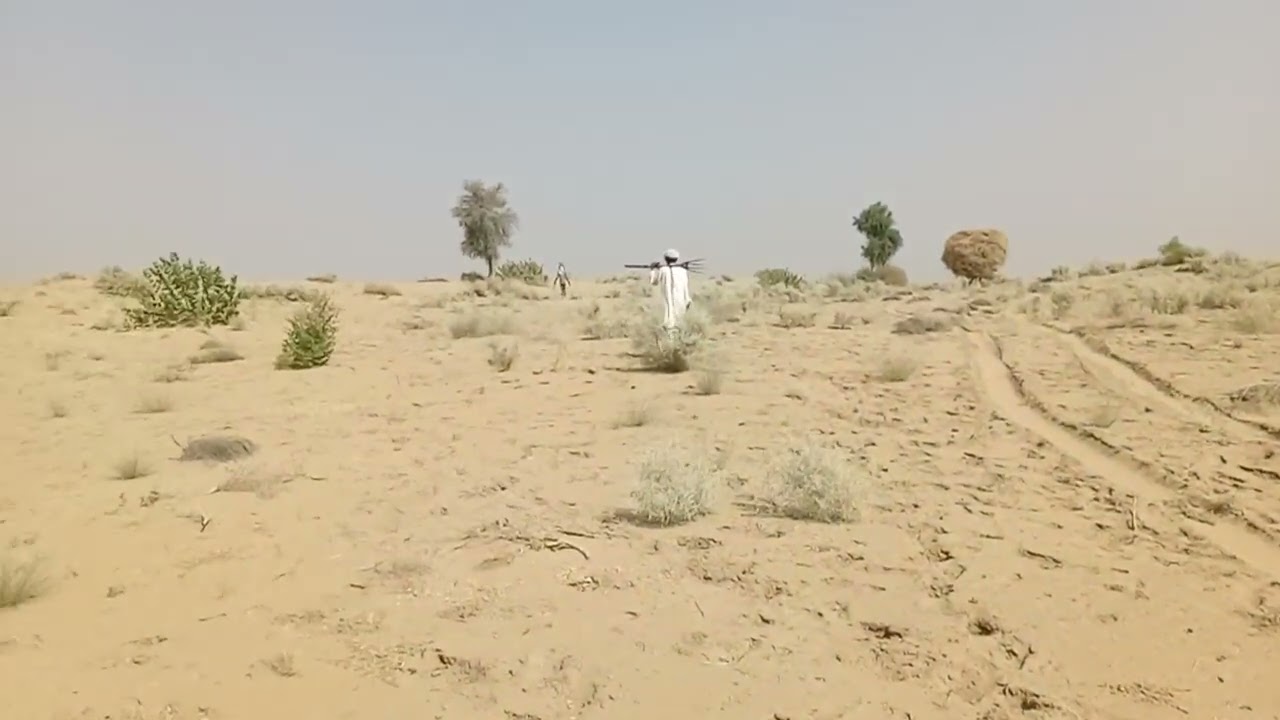 kankarala Mari chak 1mdwm tehsil poogal district Bikaner 22.10.22 - YouTube