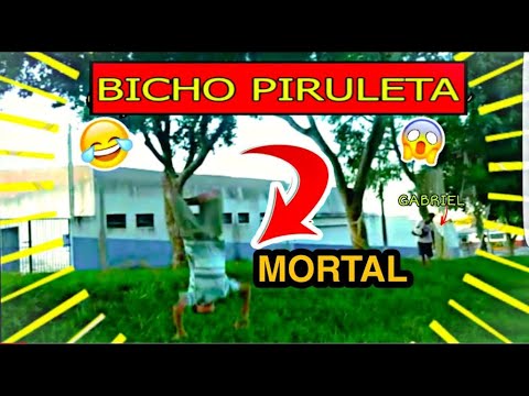 REMAKE Bicho Piruleta (ESPECIAL 500 INSCRITOS) - YouTube