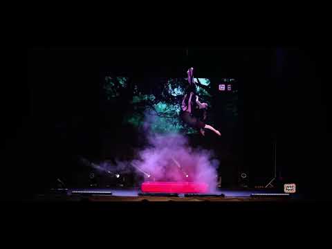 Skyborne duo на Well fest 2025
