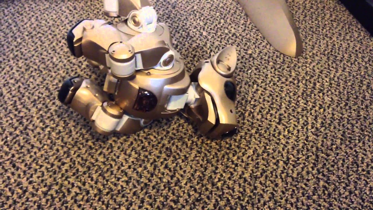 I-cybie demo - YouTube