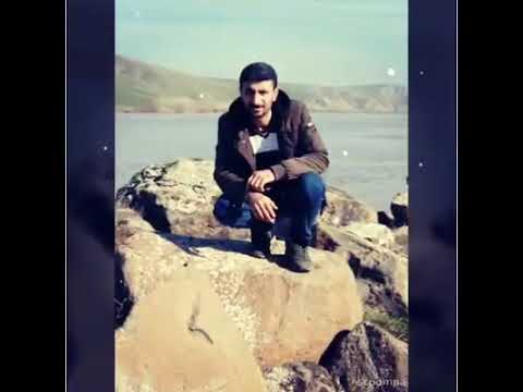 Buhar hati rıhaye