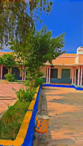 وقت آنے پر تھام دینگے اُڑان اُنکی😎جو پرندے اُوقات سے زیادہ اُڑنے لگے ...