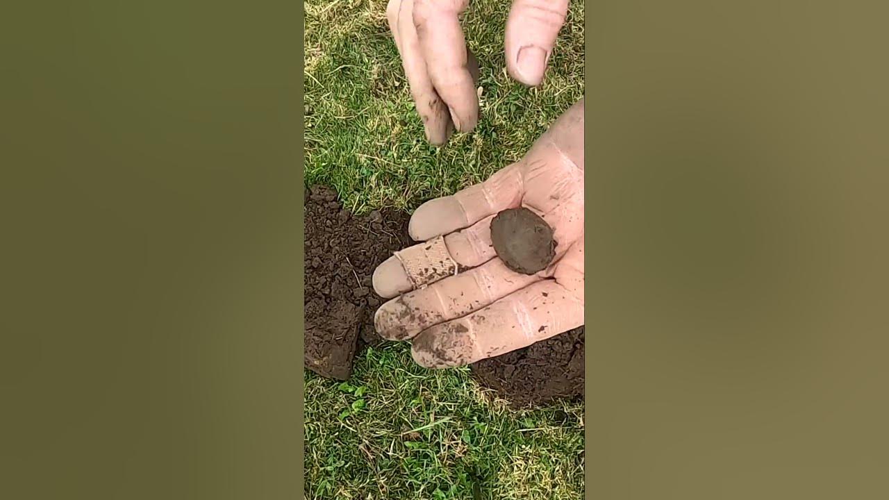 Metal Detecting Crotal Bell 1800 Silver Coins Relics Toys Farm Western NY #metaldetecting # ...