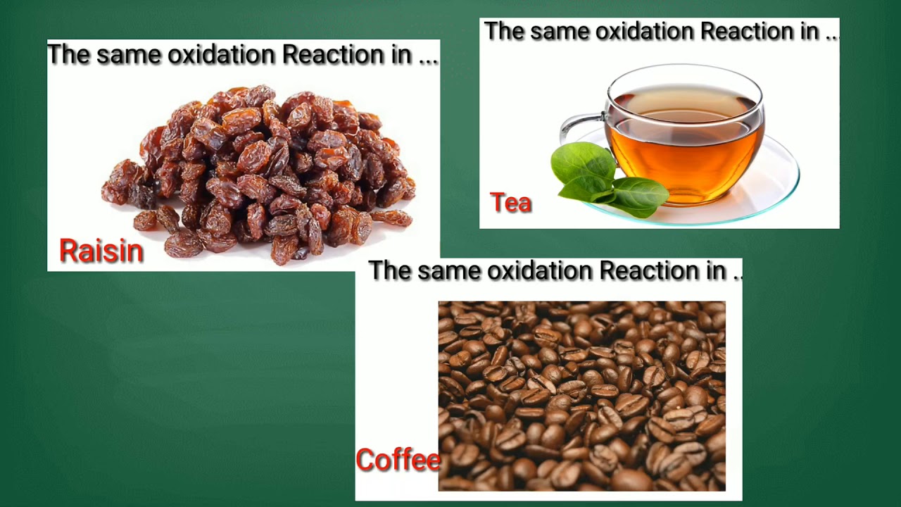 Science 5 : module 2 Lesson 2: Changes in Matter in Presence or absence ...