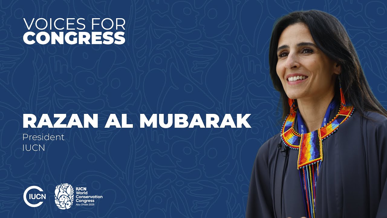 Voices for Congress - Razan Al Mubarak - YouTube