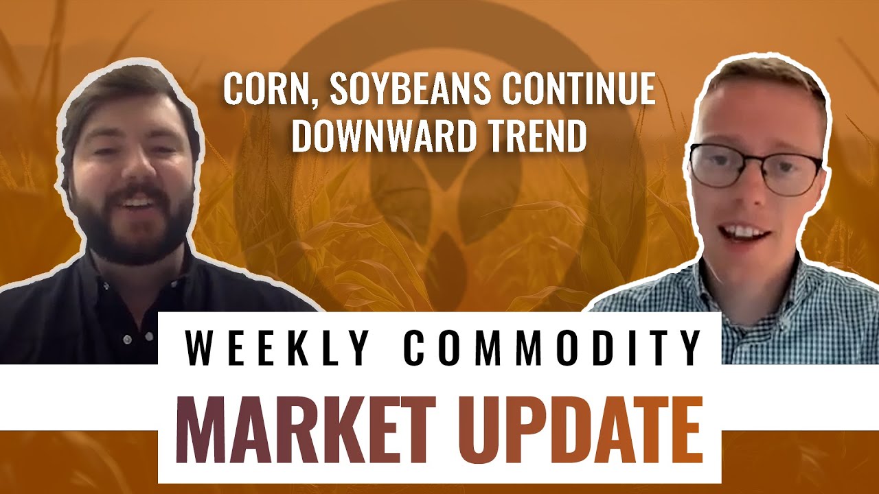 Corn, soybeans continue downward trend | Weekly Commodity Market Update for 1/30/24 - YouTube