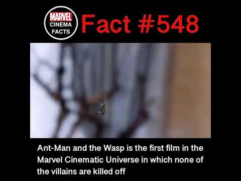 Wasp vs ghost fight in ant man 2017
