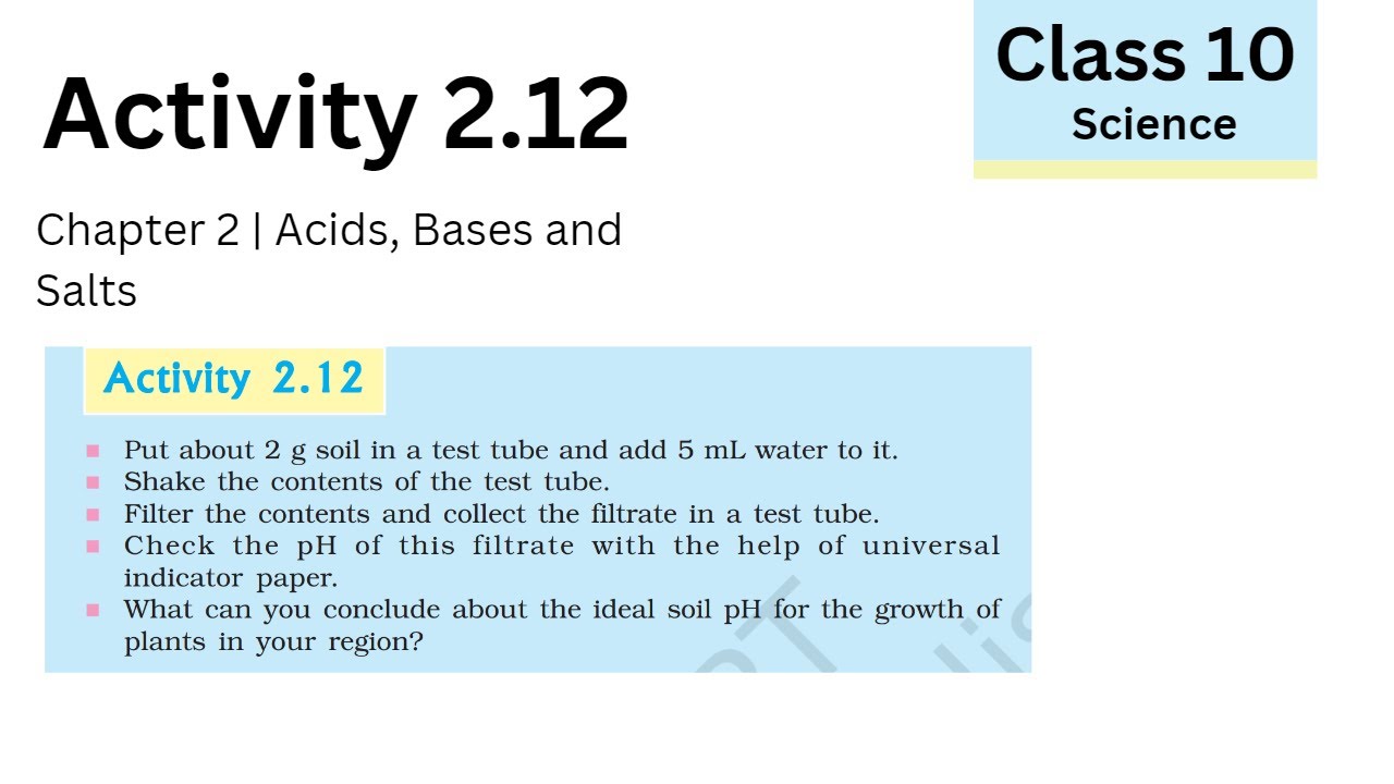 Activity 2.12 Class 10 Science | Chapter 2 Acids, Bases and Salts - YouTube