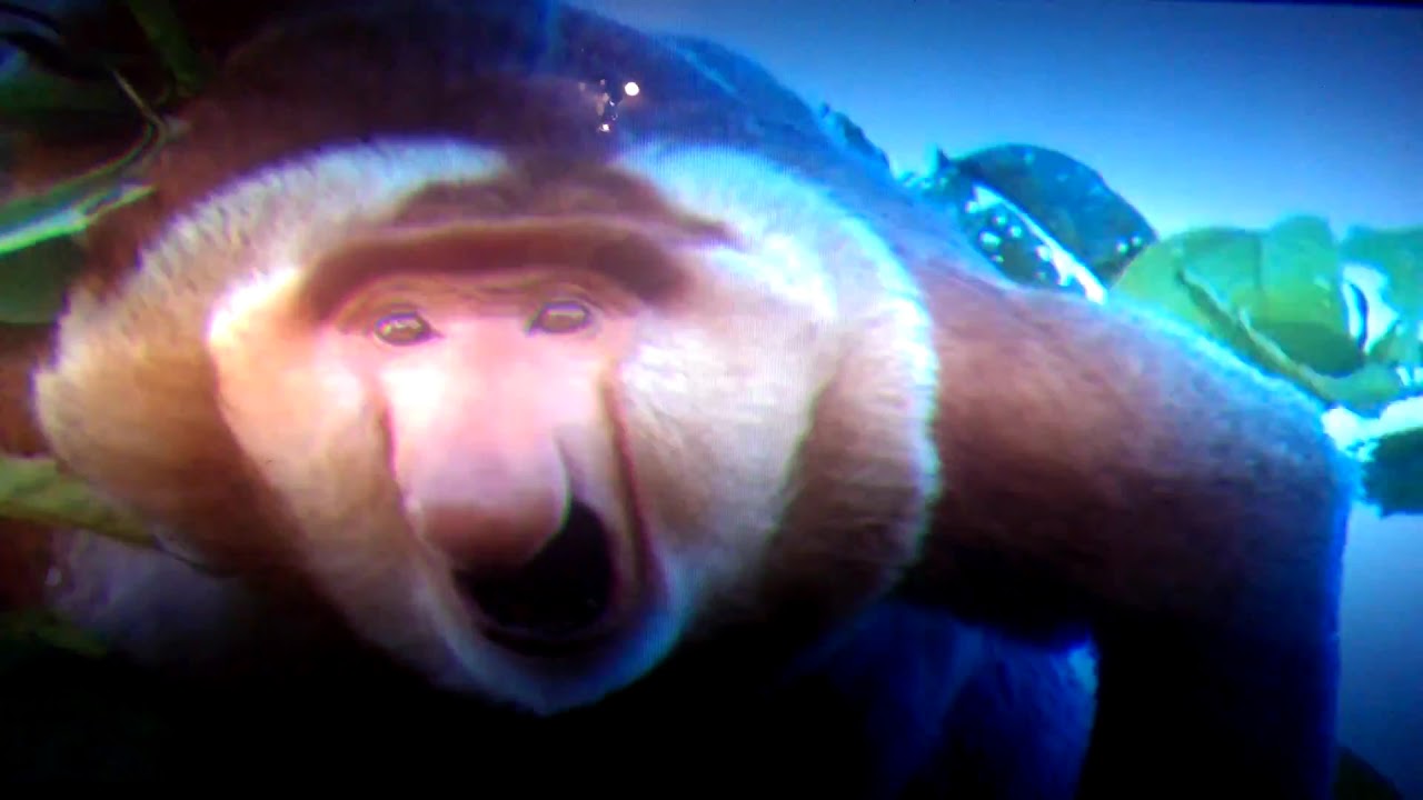 Proboscis Monkey of Borneo-Mutant Planet - YouTube