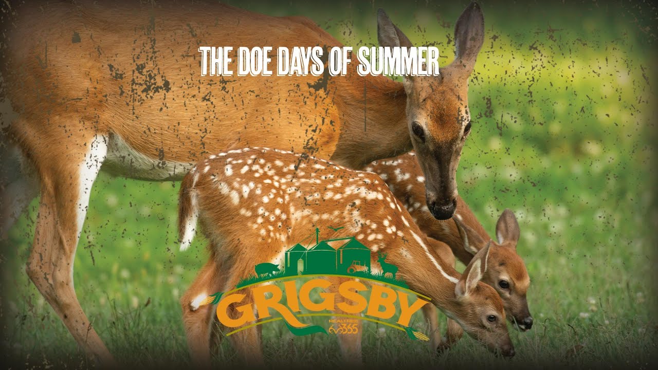 Grigsby S1E2: Major Doe Control - Antlerless Depredation Tags ...