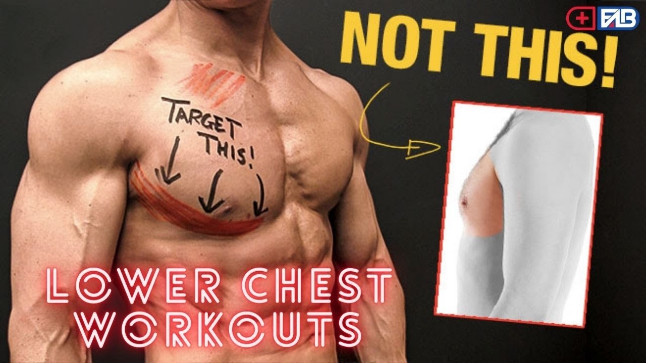 12 Lower Chest Workouts For Defined Pecs First Aid Buy YouTube 12 Lower Chest Workouts For Defined Pecs First Aid Buy YouTube