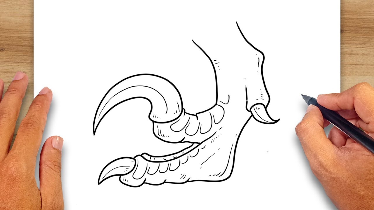 How to draw Raptor Claws - YouTube