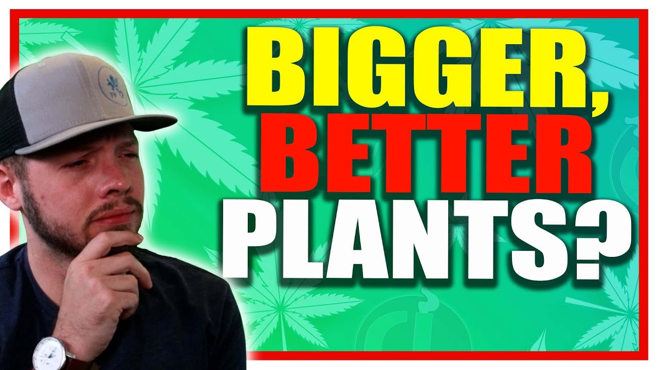 Introduction to Crop Steering (Do This For Better Plants!) - YouTube