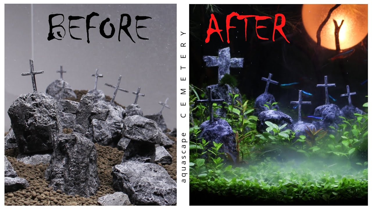 HOW TO Graveyard In An Aquarium | Aquascaping CEMETERY | Halloween ...