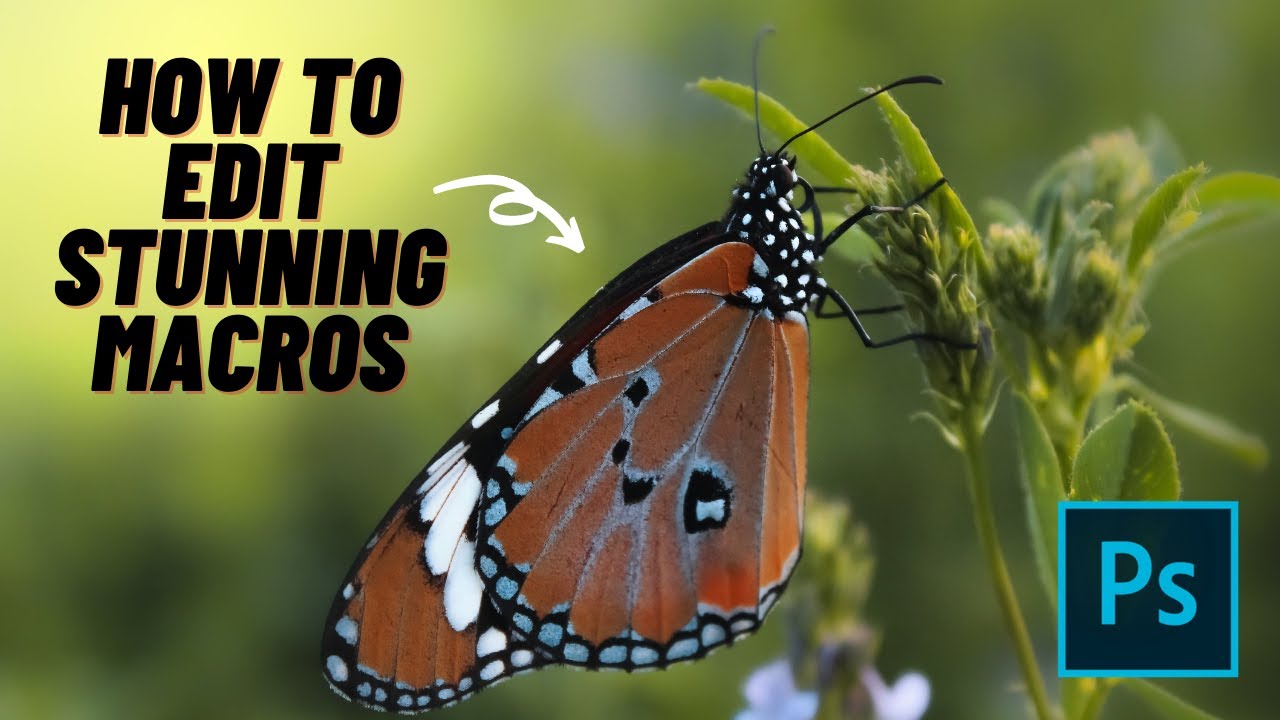 Edit Macro Photos in Photoshop | Soft Color tones & Fix Camera Shake ...