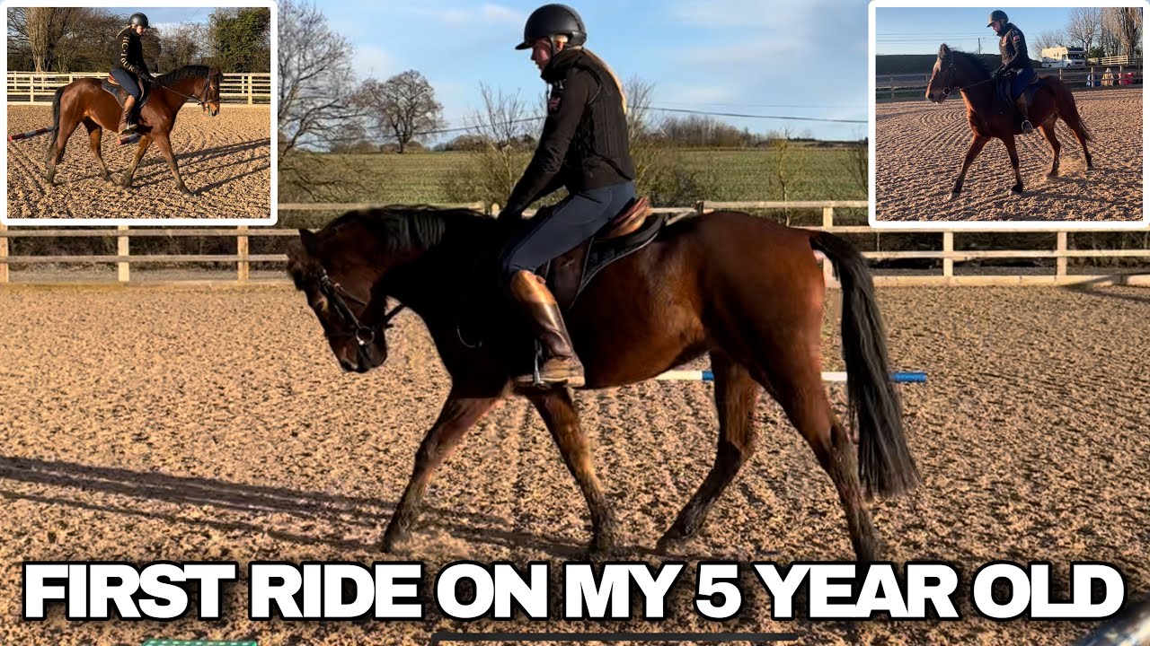 RIDING MY NEW HORSE FOR THE FIRST TIME - YouTube