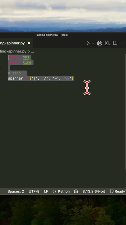 Cara Bikin Loading Spinner di Terminal dalam 1 Menit! ⚡️🔥 #coding #python #vscode #ngoding - YouTube
