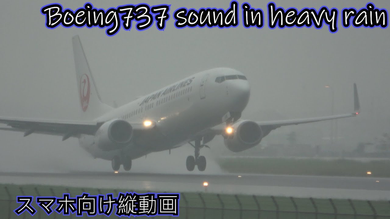 Boeing737 Airplane Boeing 737 Taking Off In Sudden Heavy boeing737-airplane-boeing-737-taking-off-in-sudden-heavy