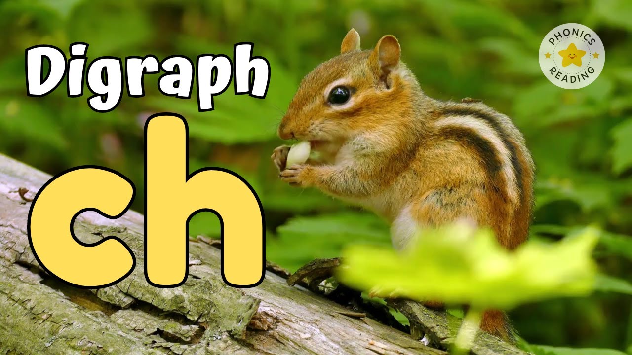 /ch/ Digraph | Phonics Lesson | Introduction and Revision For ...