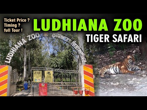 Ludhiana Zoo | Tiger Safari Ludhiana | Exploring Ludhiana | Luckyrides&vlogs - YouTube